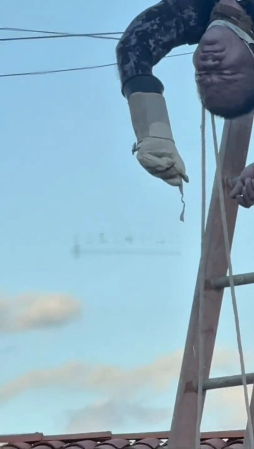 Man fatally electrocuted while attempting illegal electricity ...