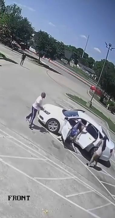 Illegal migrant shot dead while attempting carjacking • GoreCenter